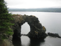 North Head Campground and Park | NBCOA